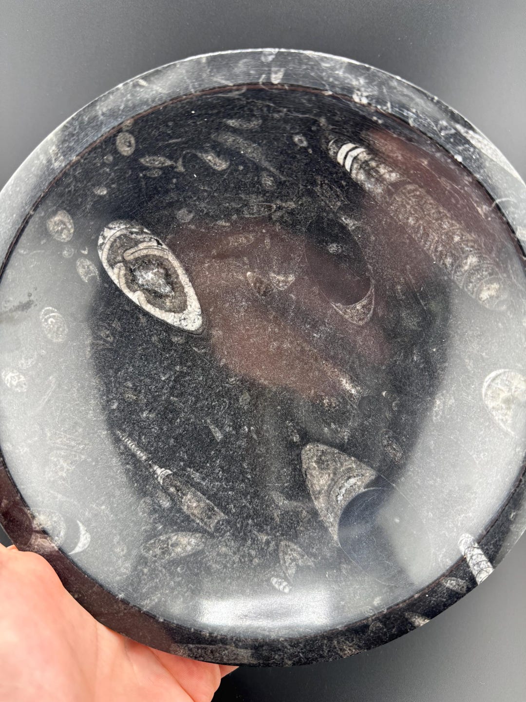 Orthoceras Fossil Bowl: Hand-carved Moroccan Decor, 8-inch - Etsy