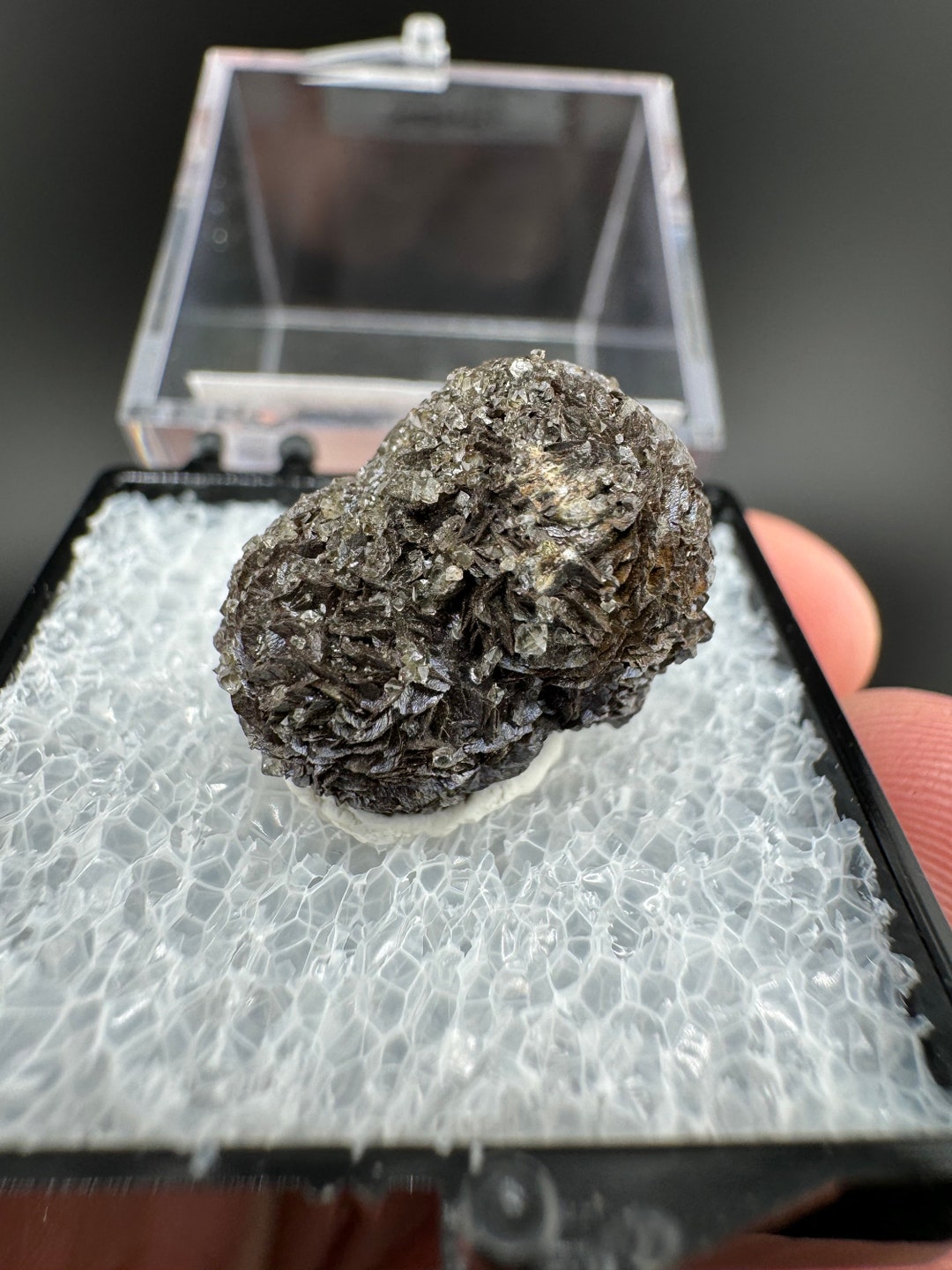 Siderite and Quartz From Potosi Mine, Siderite Balls, Chihuahua, Mexico ...