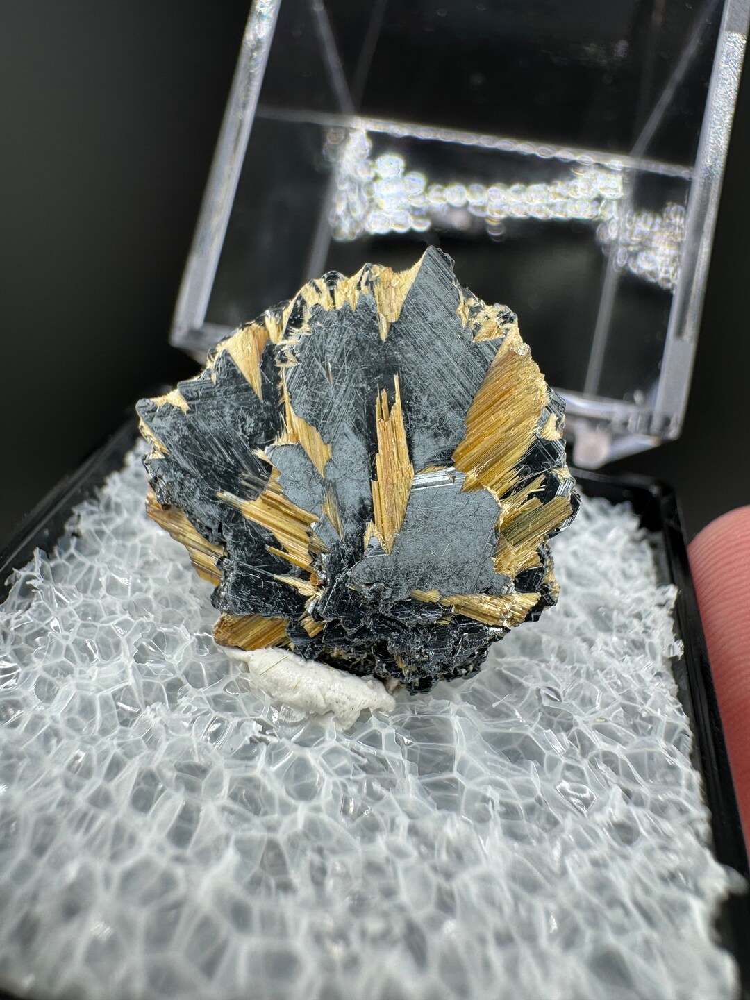 Rutile and Hematite From Nova Horizonte, Brazil, Gold Rutile, Extra ...