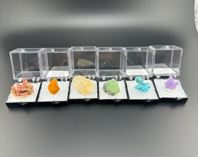 Six Piece Specimen Set in Perky Boxes, Vanadinite, Fluorite, Polish ...