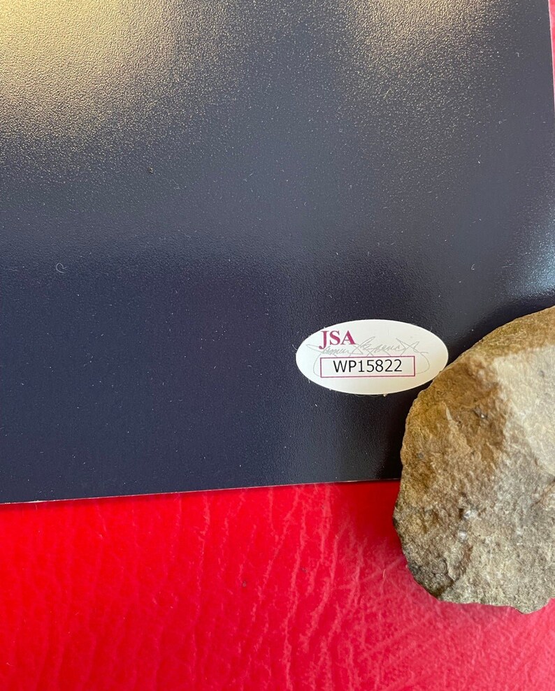 Mike Tyson Hand Signed 16x20 Photograph With Certificate of ...