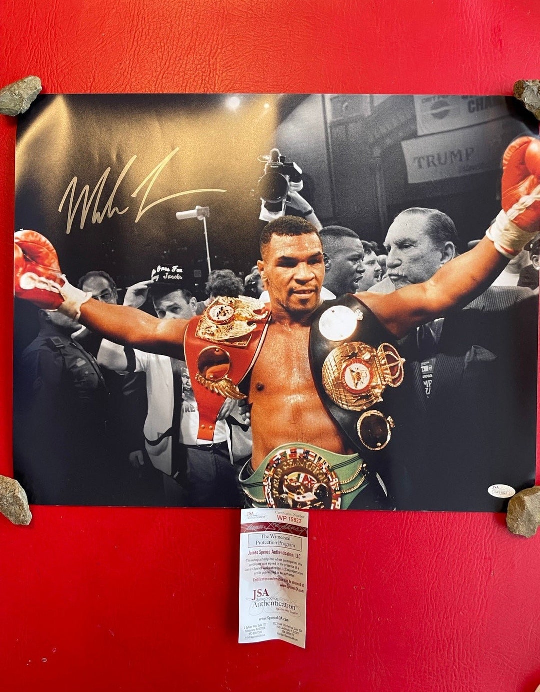 Mike Tyson Hand Signed 16x20 Photograph With Certificate of ...