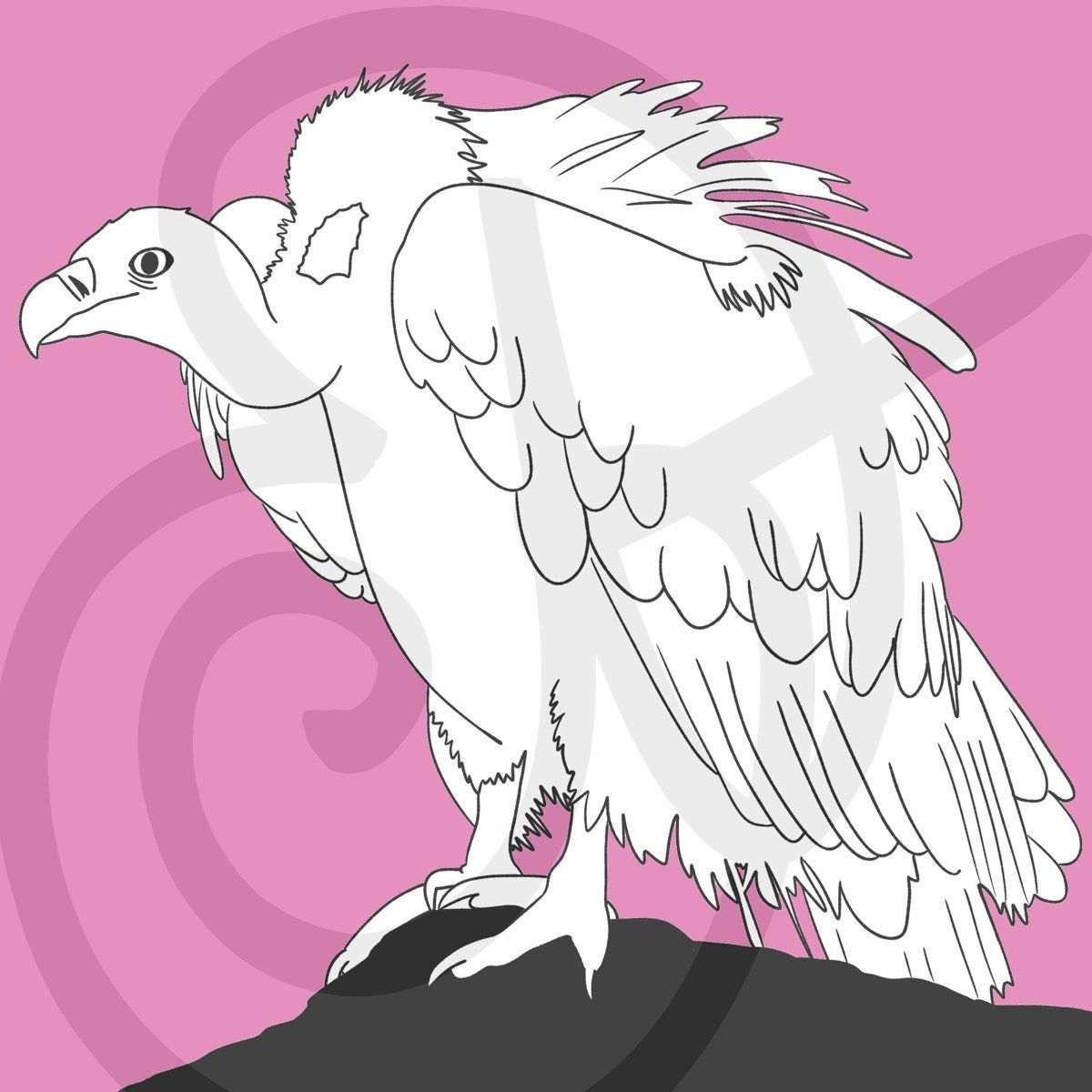 Easy Coloring Animals From Europe - Etsy