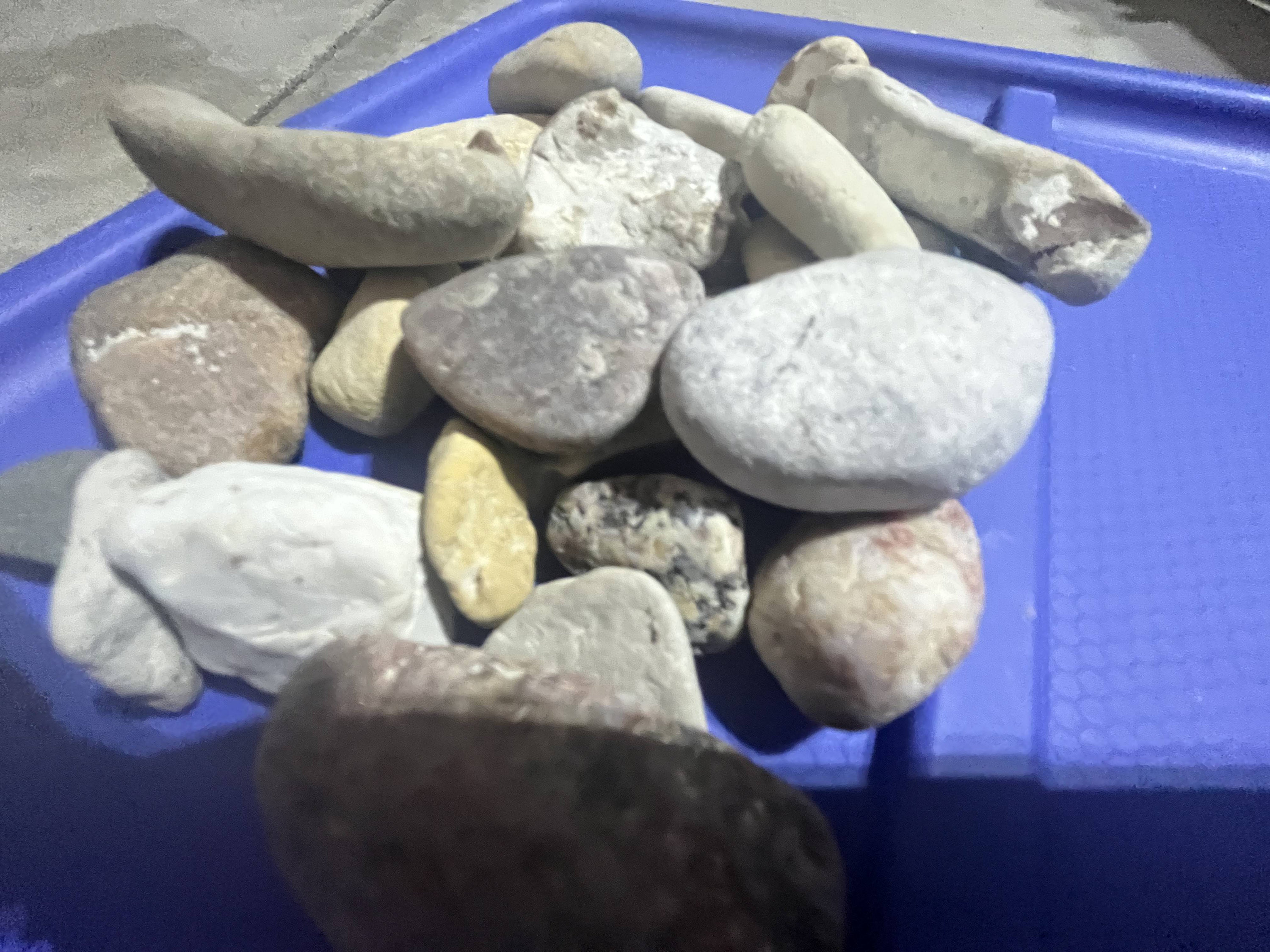 25+ Raw Rocks | Natural Unpolished Stone Variety | Variety Pack of ...