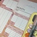 Budget Planner Weekly Check in Tracker Bills Savings Debt Income - Etsy
