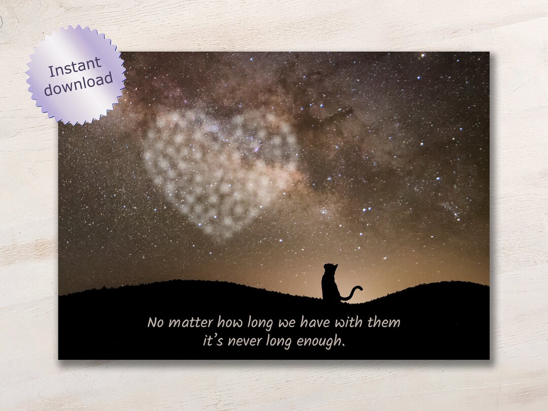 Printable Sympathy Card Cat Cat Bereavement Card Cats - Etsy