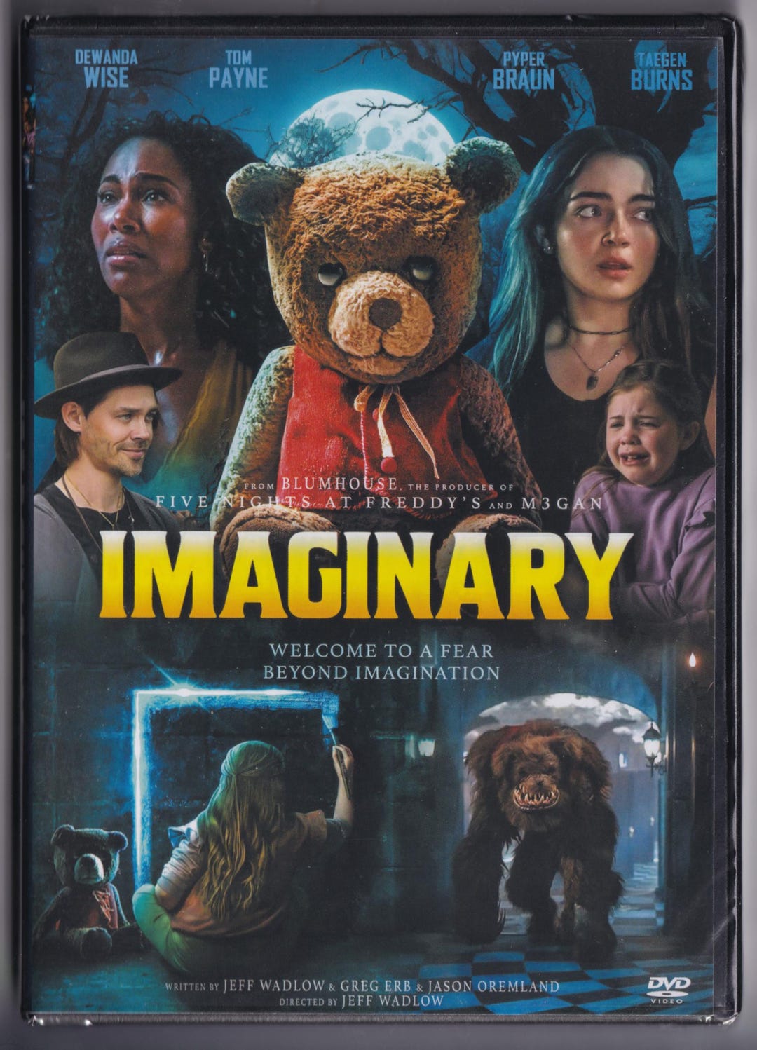 Imaginary DVD 2024 Dewanda Wise Taegen Burns Pyper Braun NEW - Etsy