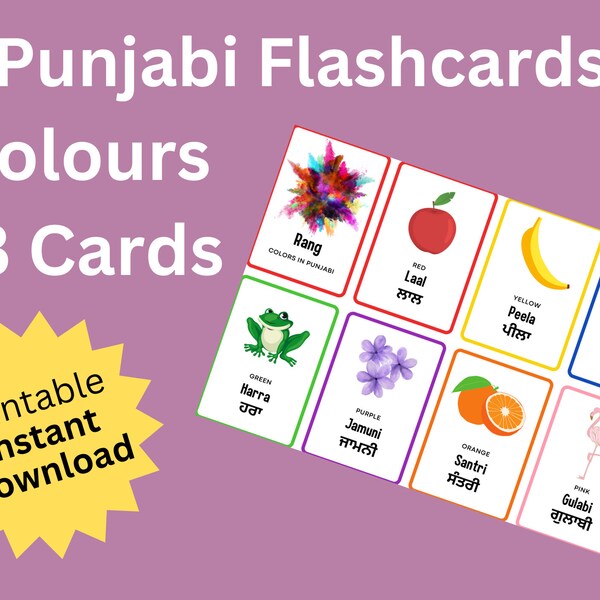 Punjabi Flashcards - Etsy Australia