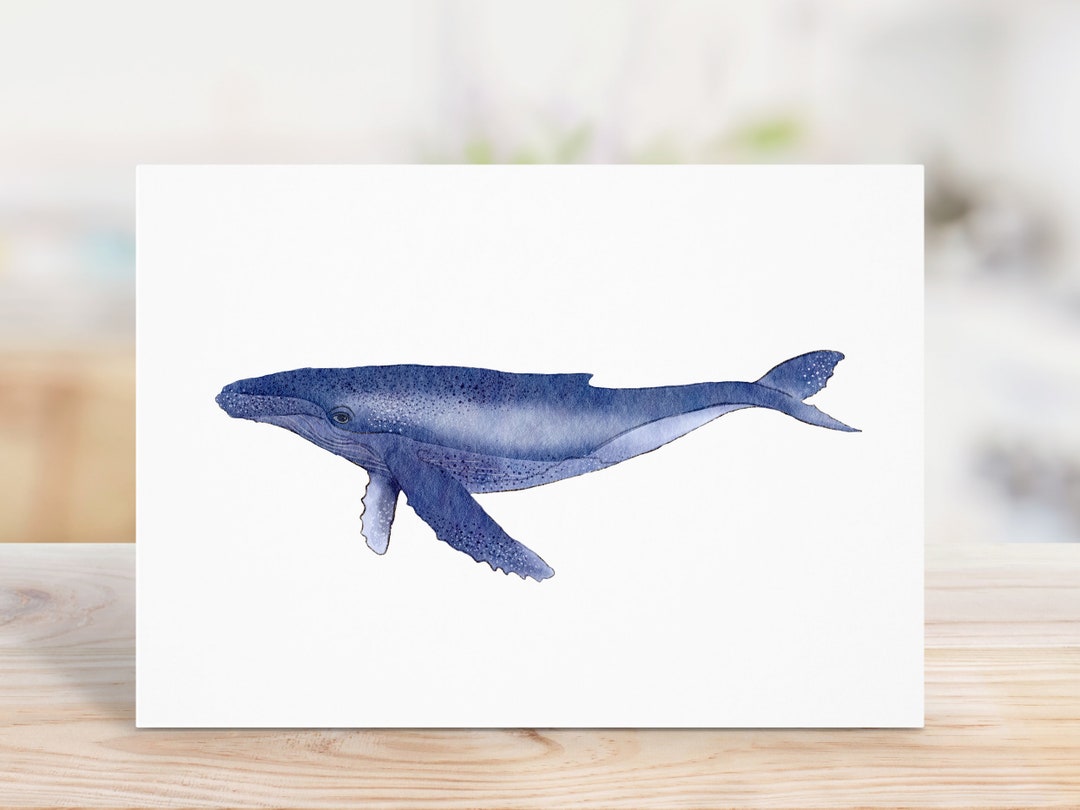 Humpback Whale Note Card With Envelope - 5x7 - Ocean / Sea Life - Blank ...