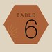 Rust Hexagon Minimalist Printable Table Numbers, Terracotta Engagement ...