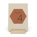 Rust Hexagon Minimalist Printable Table Numbers, Terracotta Engagement ...