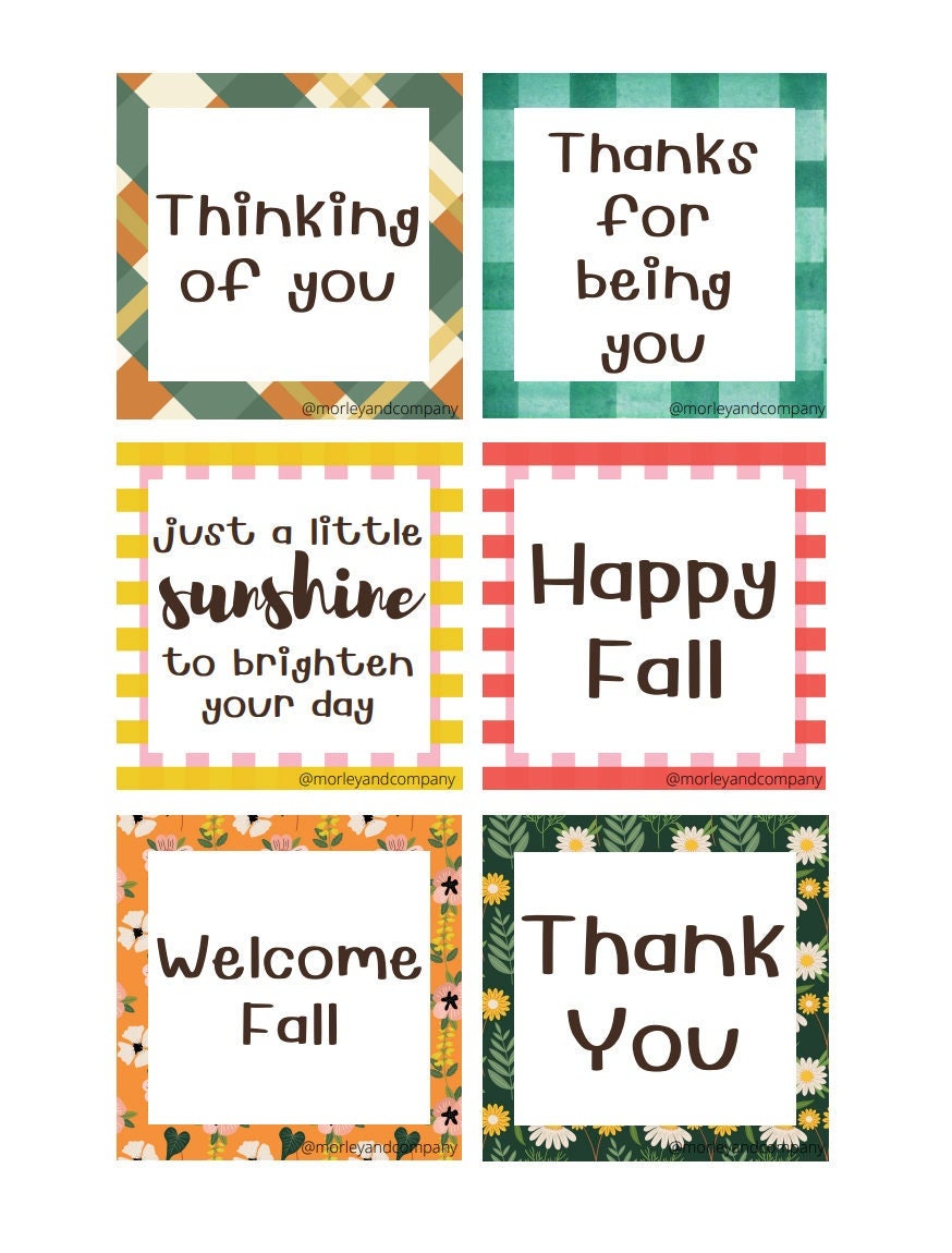 Variety Pack Cards: Instant Download - Etsy