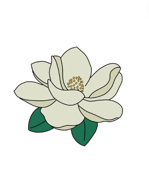 Magnolia Print - Etsy