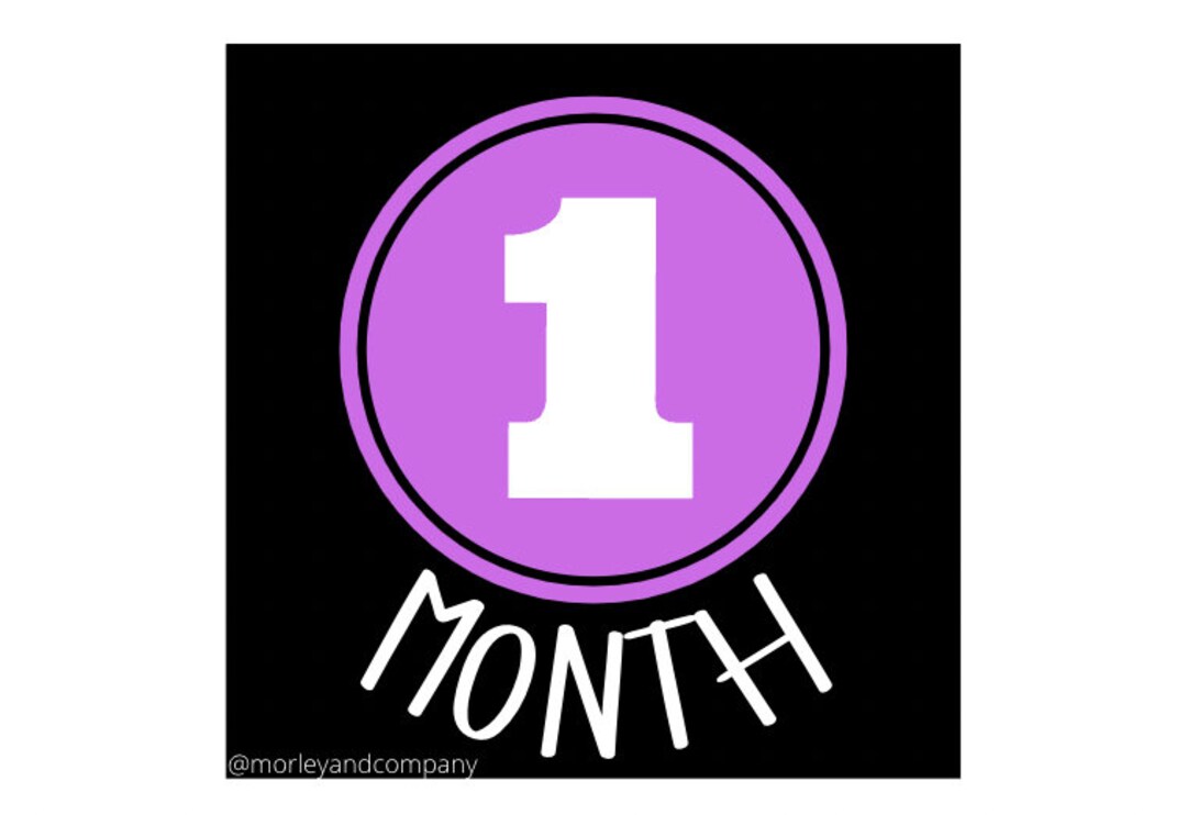 Retro Monthly Milestone Set - Etsy