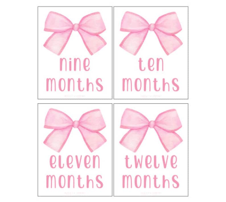 Pink Bow Monthly Milestone Set - Etsy