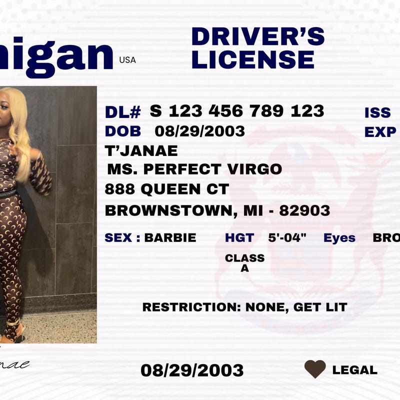 Driver License Posters - Etsy