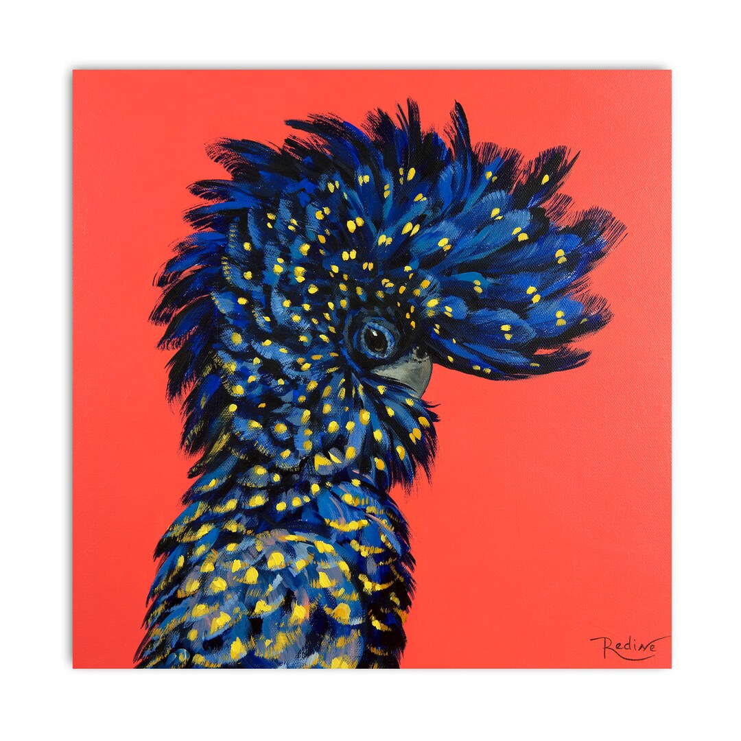 Red-tailed Black Cockatoo Premium Paper Print Featuring Original ...