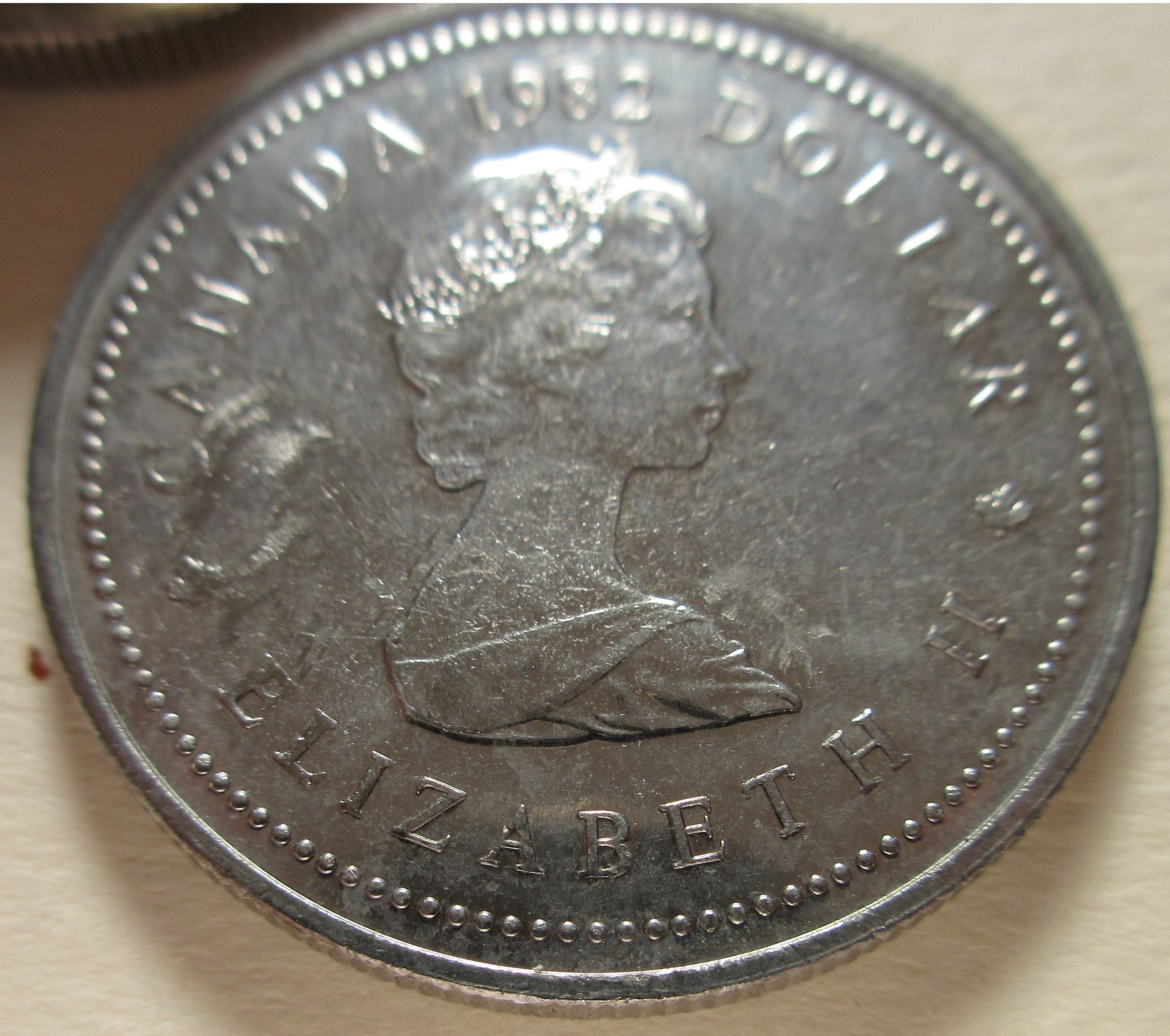 1982 Canadian Constitution One Dollar Coin. Mint Conditioned - Etsy Canada