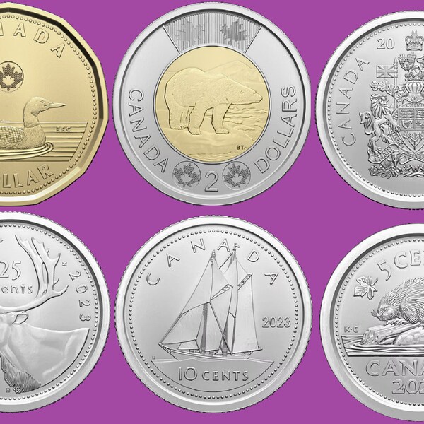 2023 Toonie - Etsy
