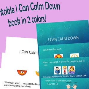 VB-MAPP Appendix List Flash Card Bundle 1000 Pictures - Etsy