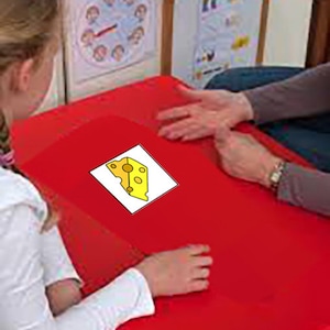 500+ VB-MAPP Flash Cards - Common Items List - Etsy