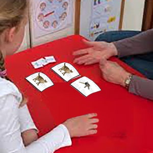 200+ Matching Cards! - Identical and Non-identical VB-MAPP Stimuli - Etsy