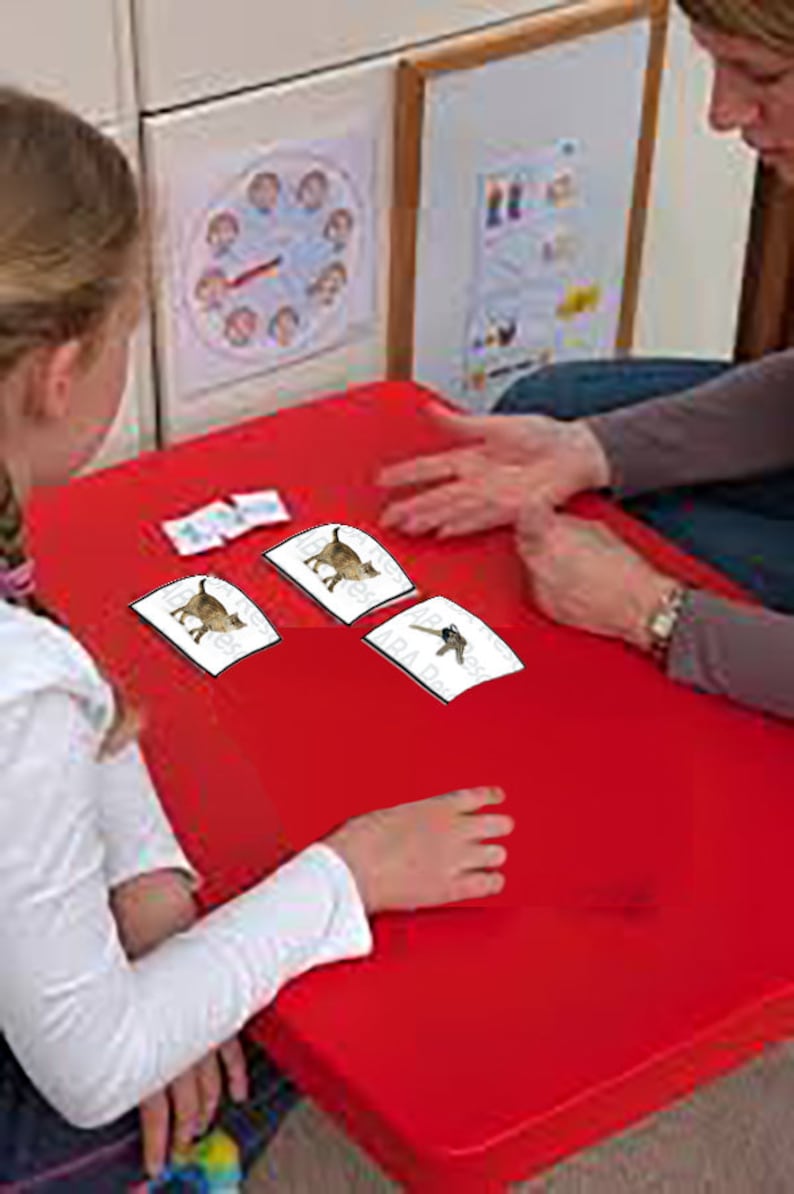 200+ Matching Cards! - Identical and Non-identical VB-MAPP Stimuli - Etsy