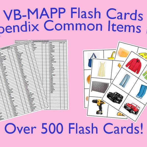 Common Items Flash Cards - Etsy