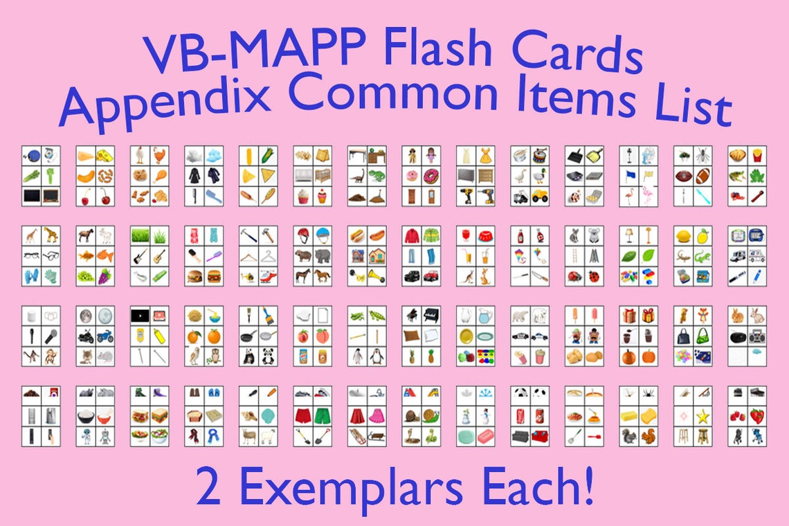 500+ VB-MAPP Flash Cards - Common Items List - Etsy