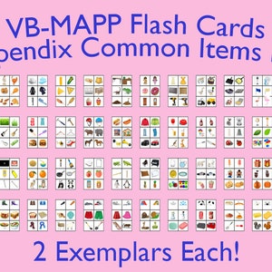 500+ VB-MAPP Flash Cards - Common Items List - Etsy