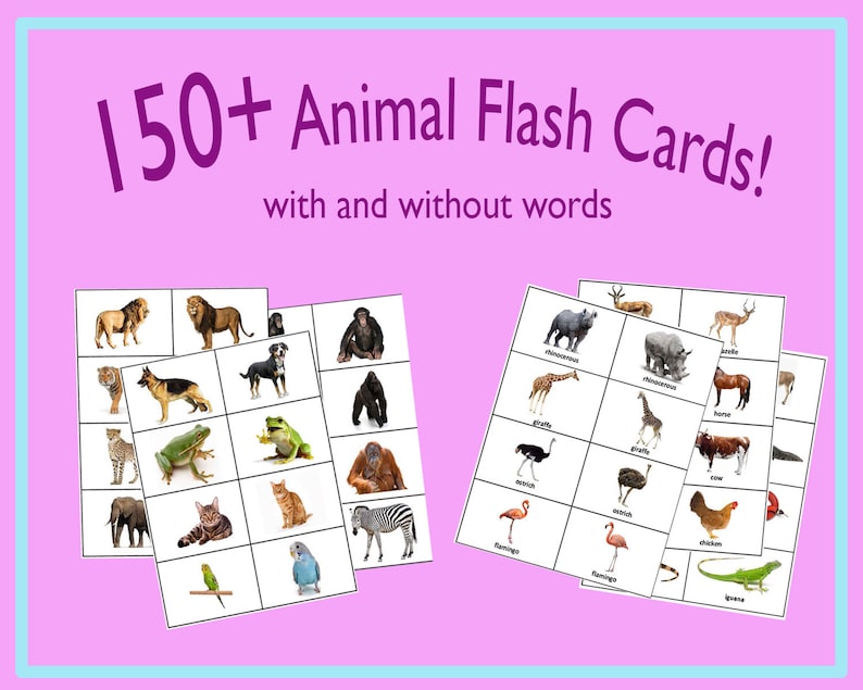 150+ Animal Flash Cards! - Etsy