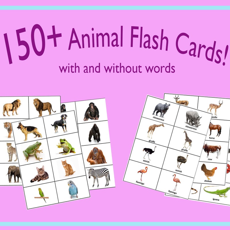 Animal Flash Cards - Etsy