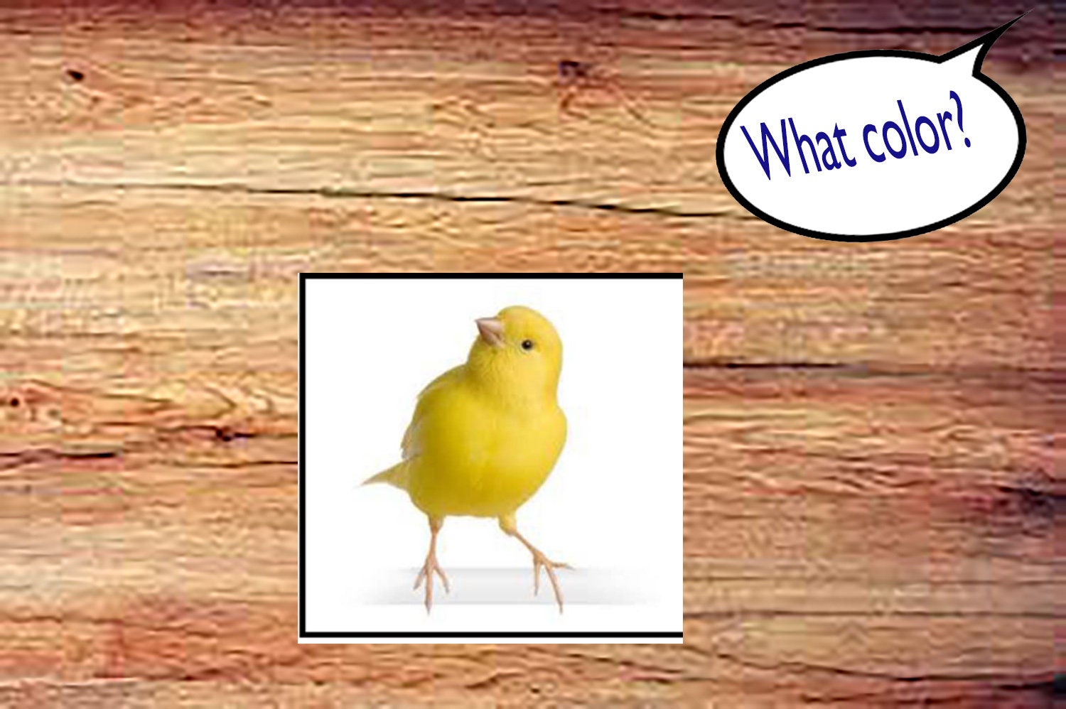 60+ Colors Flash Cards! - Etsy