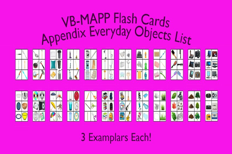 140+ VB-MAPP Flash Cards - Everyday Objects Appendix List - Etsy