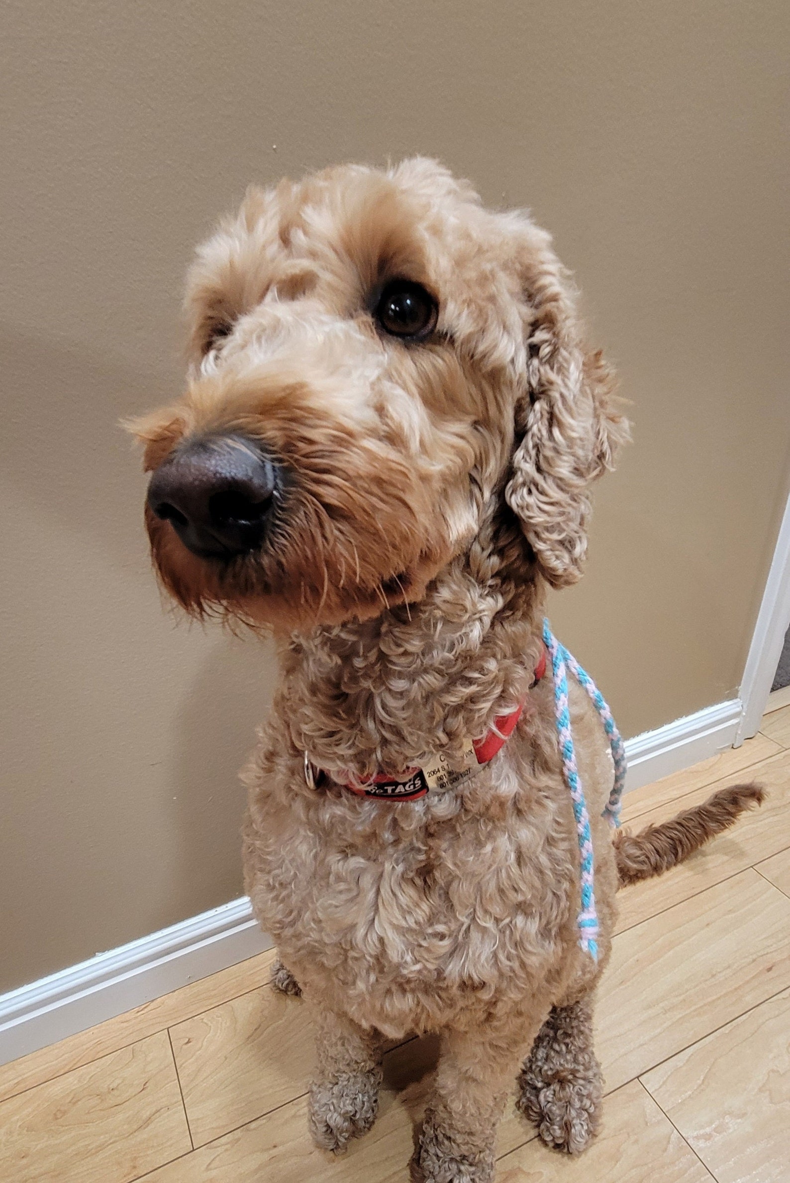 Braided Bracelets. Made for Friends, Family, Parties, Handmade, Bag ...