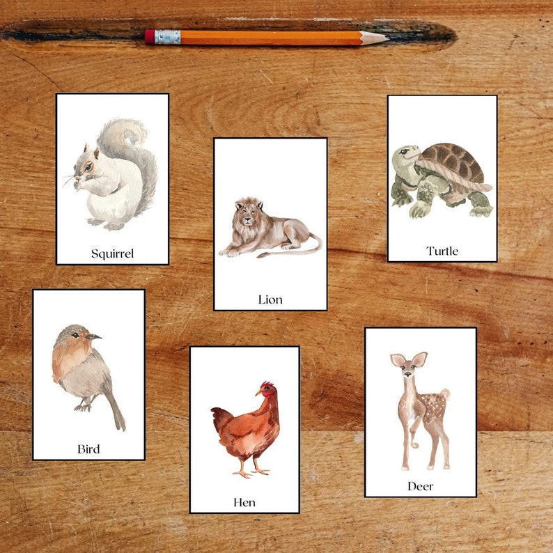 Animal Flashcards, Preschool Activity, Homeschool Activity, Montessori ...