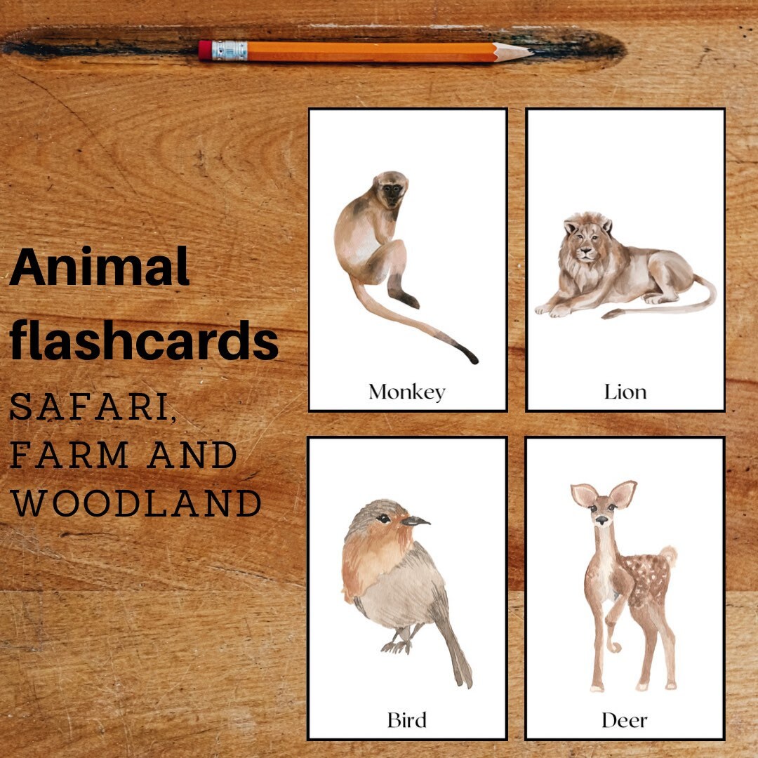 Animal Flashcards, Preschool Activity, Homeschool Activity, Montessori ...