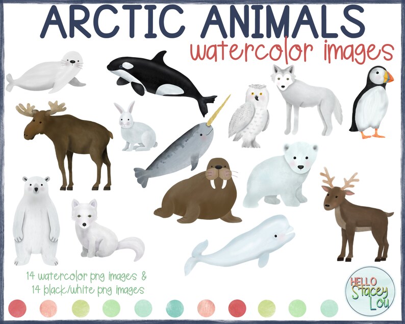 Arctic Animals Watercolor Clipart - Etsy
