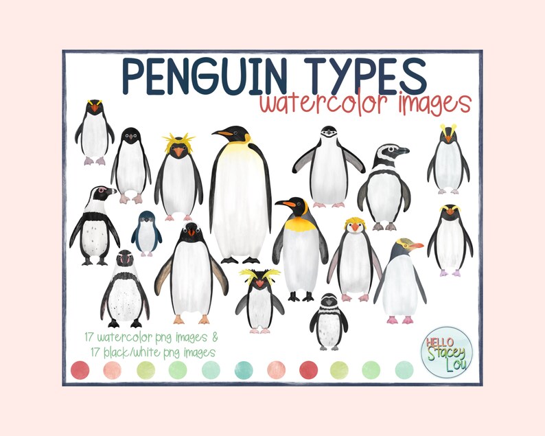 Penguin Types Watercolor Clipart - Etsy