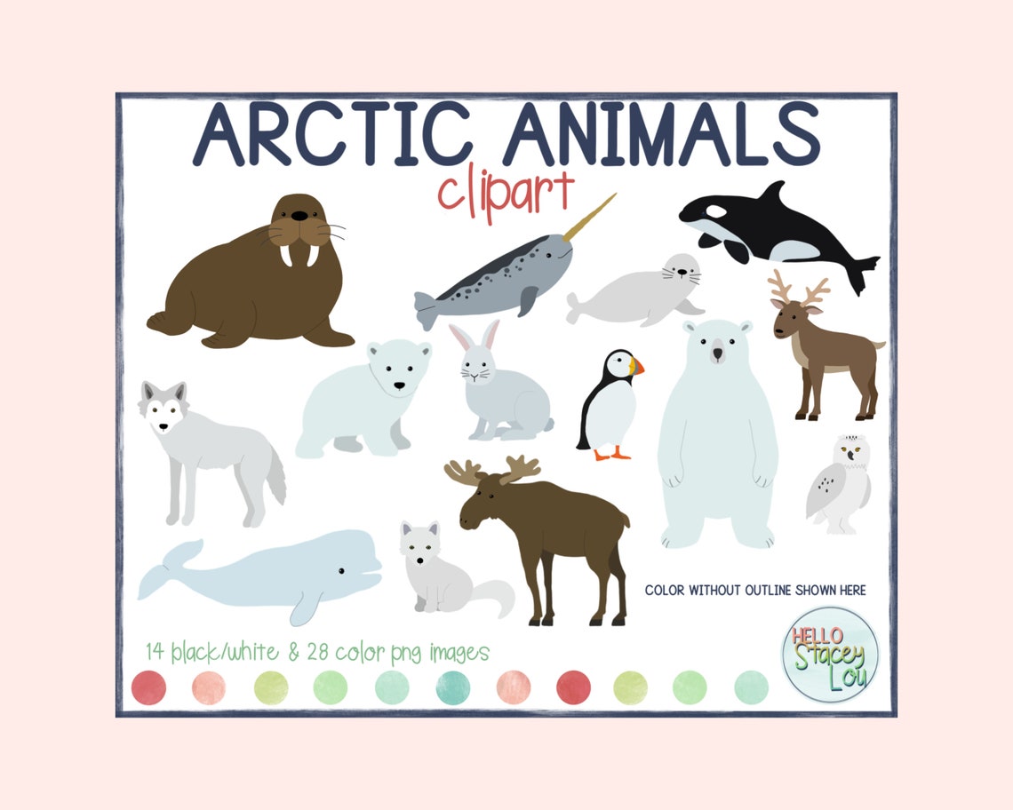 Arctic Animals Clipart - Etsy