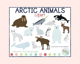 Baby Arctic Animals Digital Clipart - 13 PNG Files, Instant Download ...