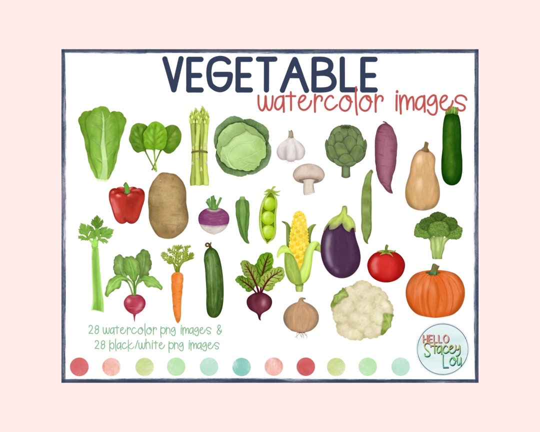 Vegetable Watercolor Clipart - Etsy