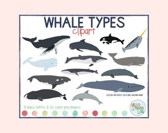 Back to School Watercolor Clipart August/september - Etsy