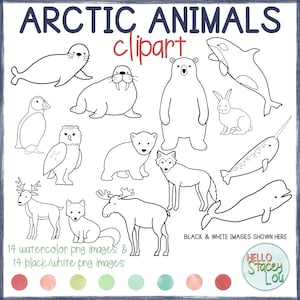 Arctic Animals Watercolor Clipart - Etsy