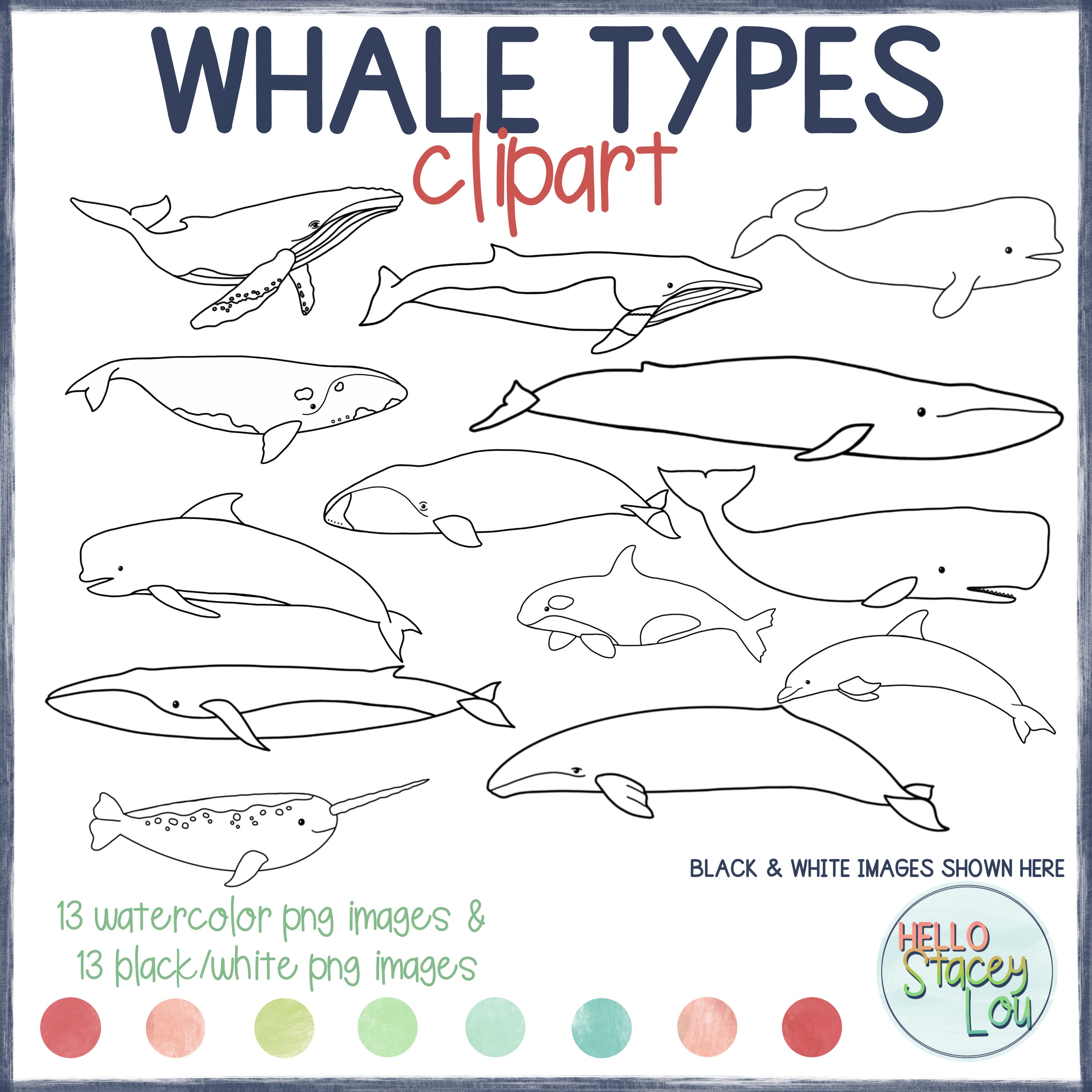 Whale Types Watercolor Clipart - Etsy