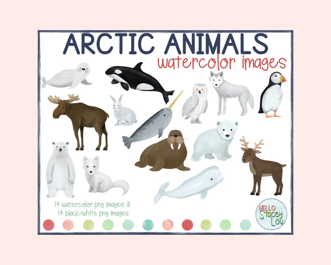Arctic Animals Watercolor Clipart - Etsy