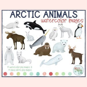 Arctic Animals Watercolor Clipart - Etsy