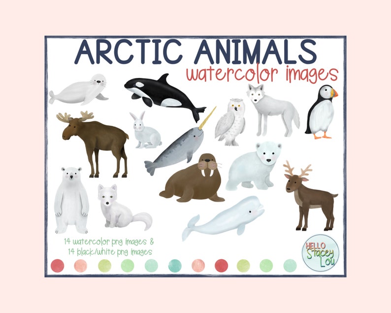 Arctic Animals Watercolor Clipart - Etsy