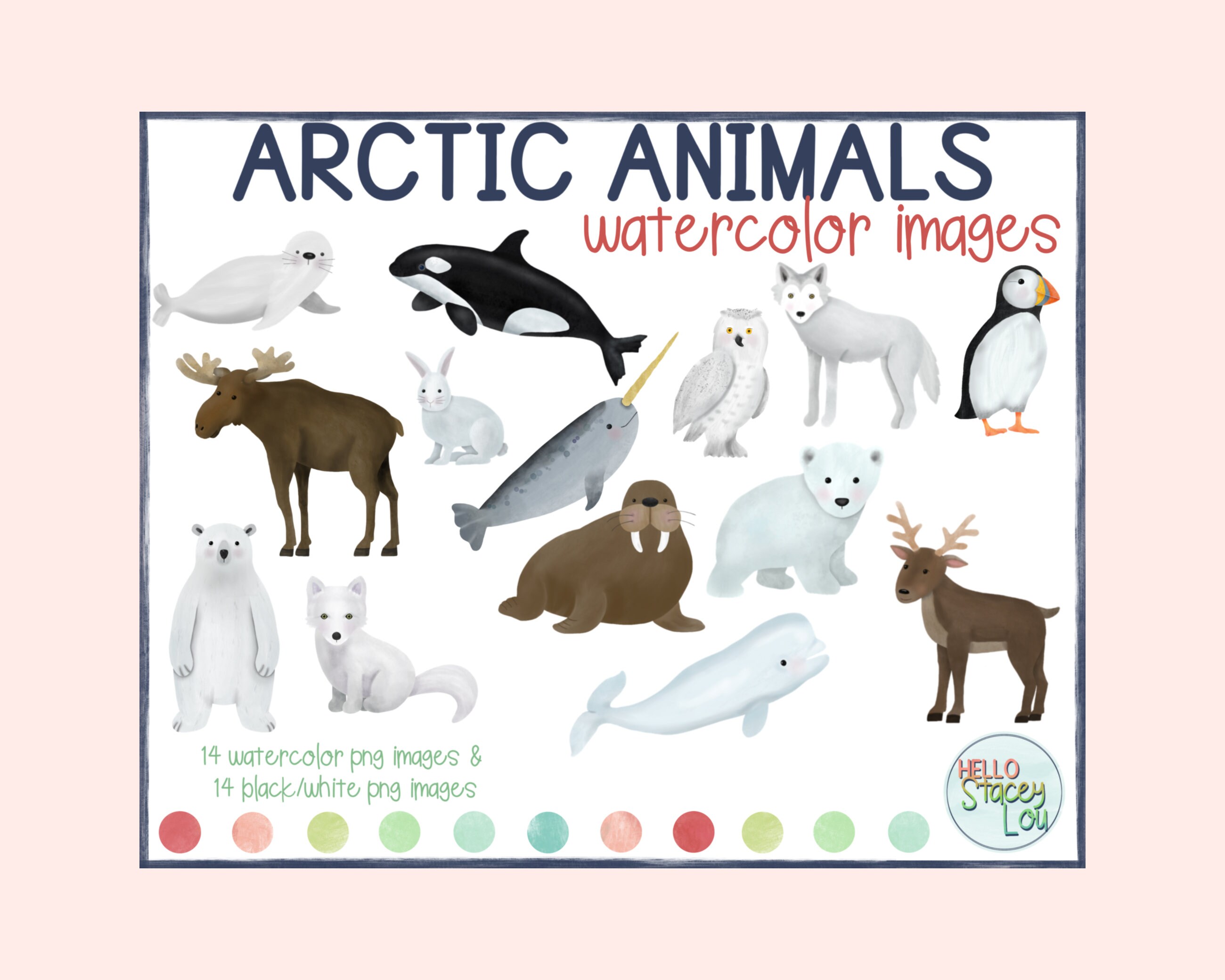 Arctic Animals Watercolor Clipart - Etsy