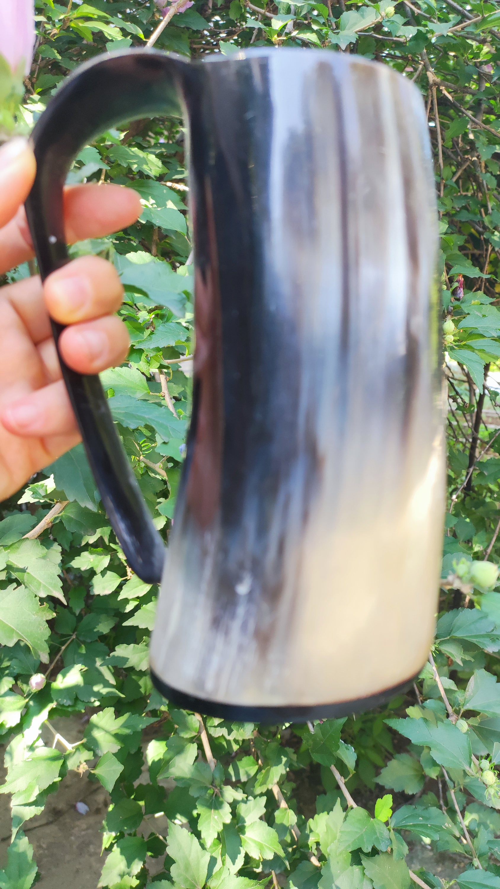 Viking Drinking Horn With Stand Bull Cattle Horn Beer Cup Food Grade ...
